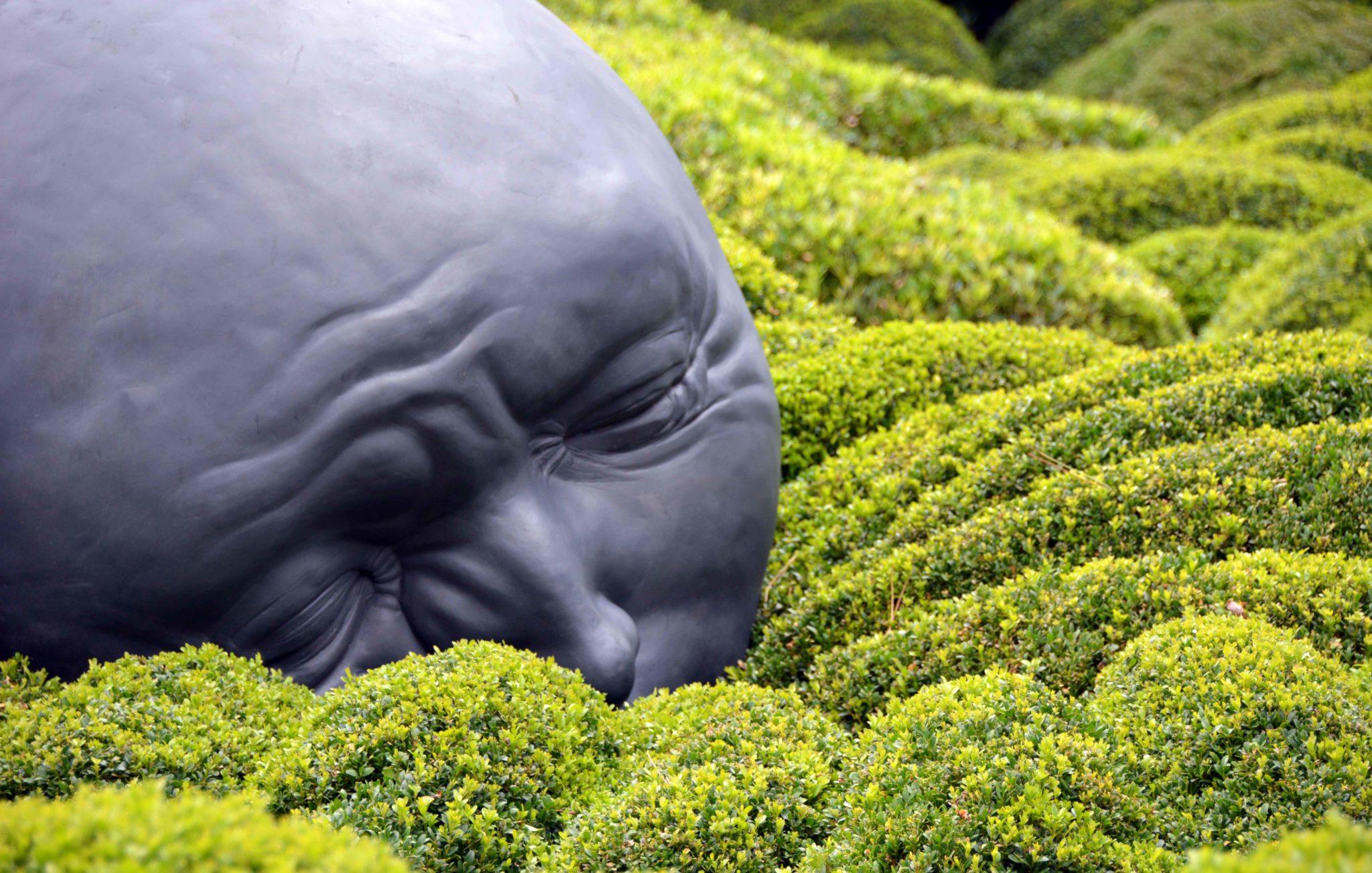 DSC_0193-red | Menschen in Hanau e.V.